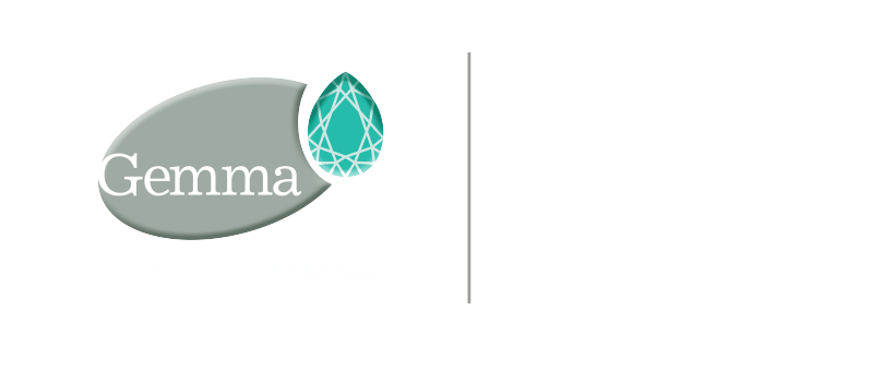 Lanzamos el Programa Comunidad Gemma - Gemma